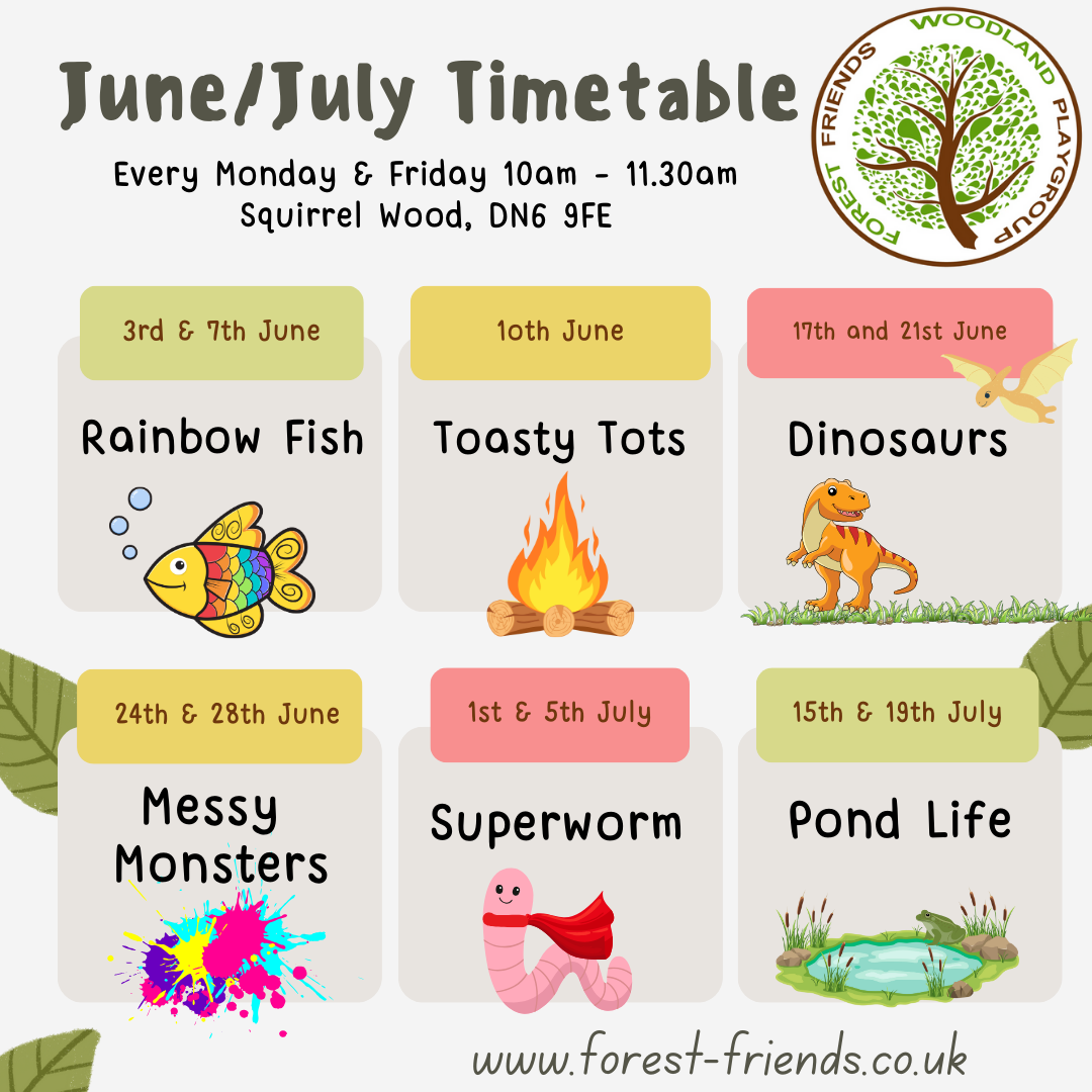 What's coming up at Forest Friends...